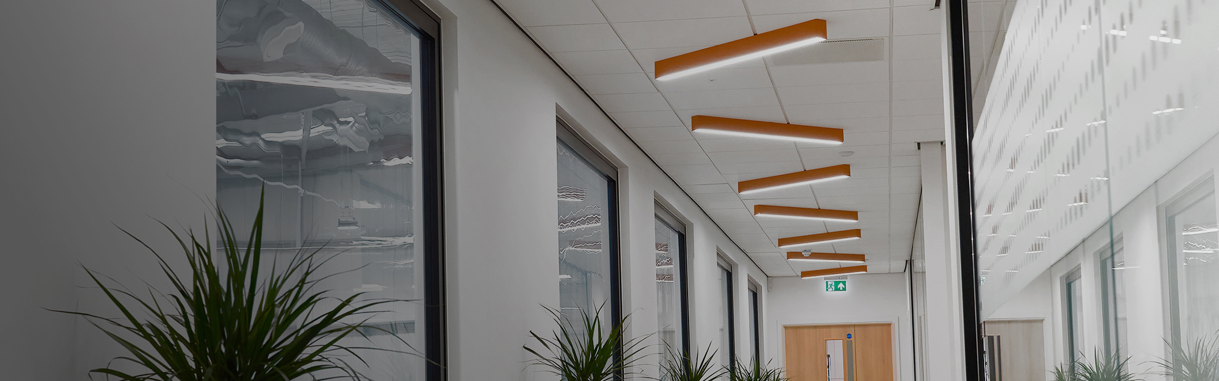Luceco Lighting Design
